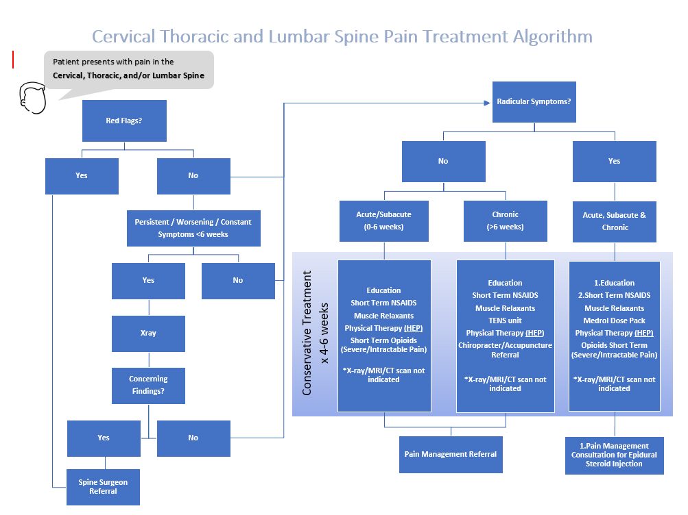 Neck and Back Pain Algorithm - Healthcare Outcomes Performance Company